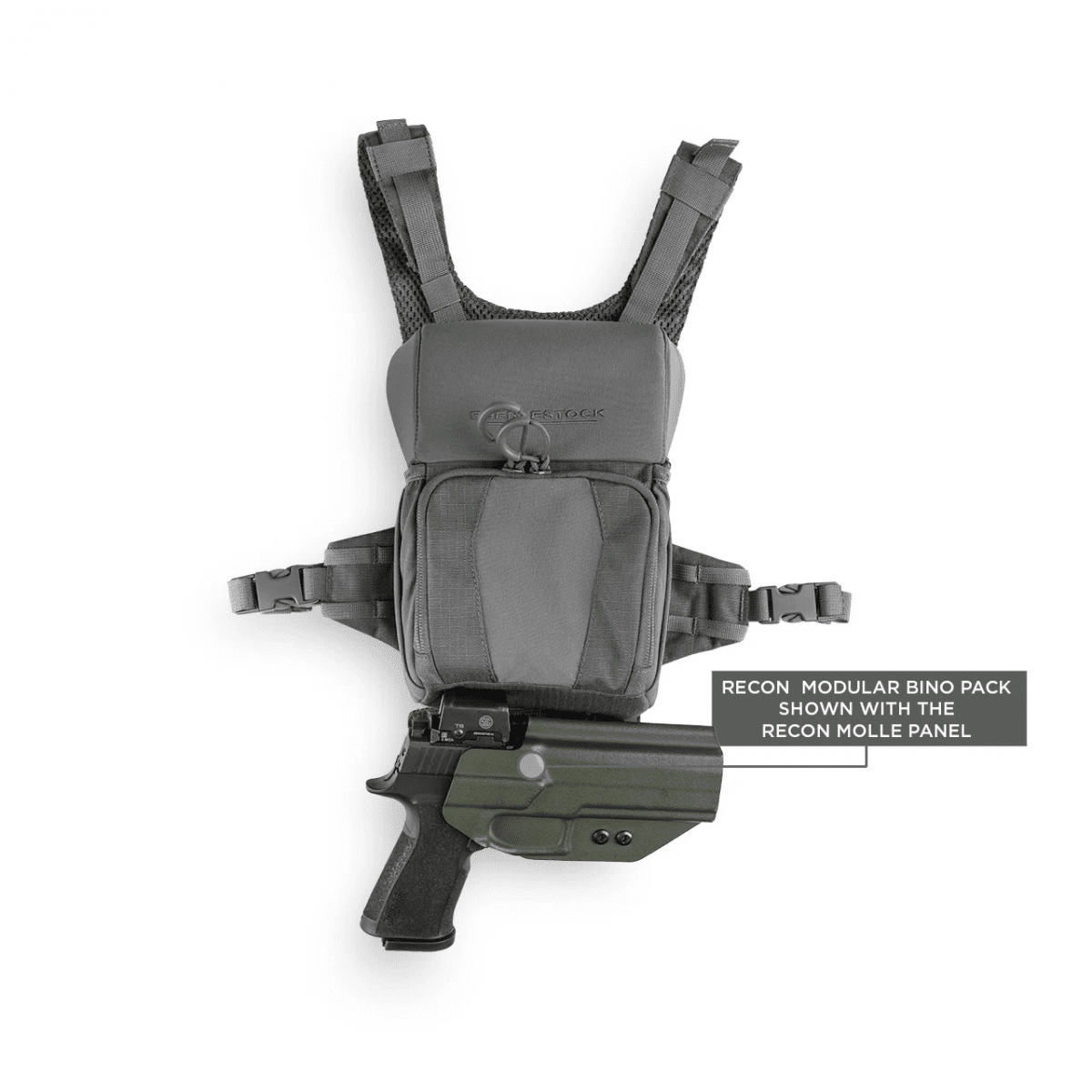 Eberlestock Recon Molle Panel